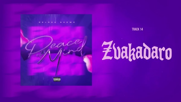 MP3 DOWNLOAD: Delroy Shewe - Zvakadaro [+ Lyrics] | CeeNaija
