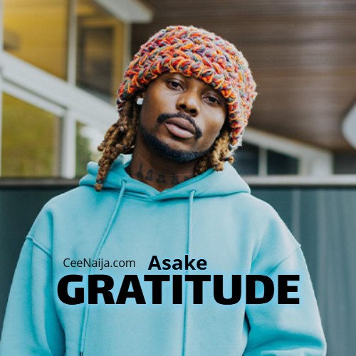 DOWNLOAD SONG: Asake - Gratitude (Mp3 & Lyrics) | CeeNaija
